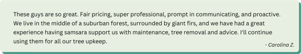 Tree Inspections | Samsara Tree Care | Professional Arborist Reports ...