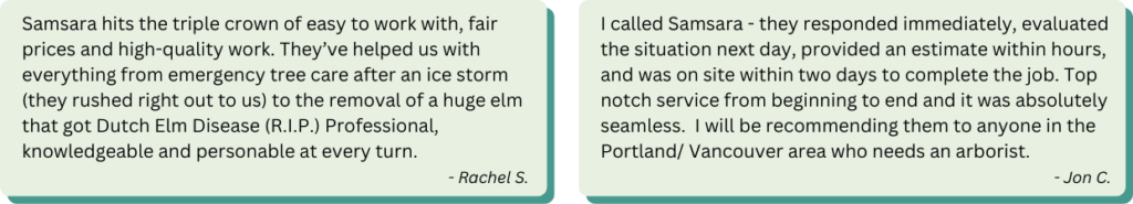 Tree Inspections | Samsara Tree Care | Professional Arborist Reports ...