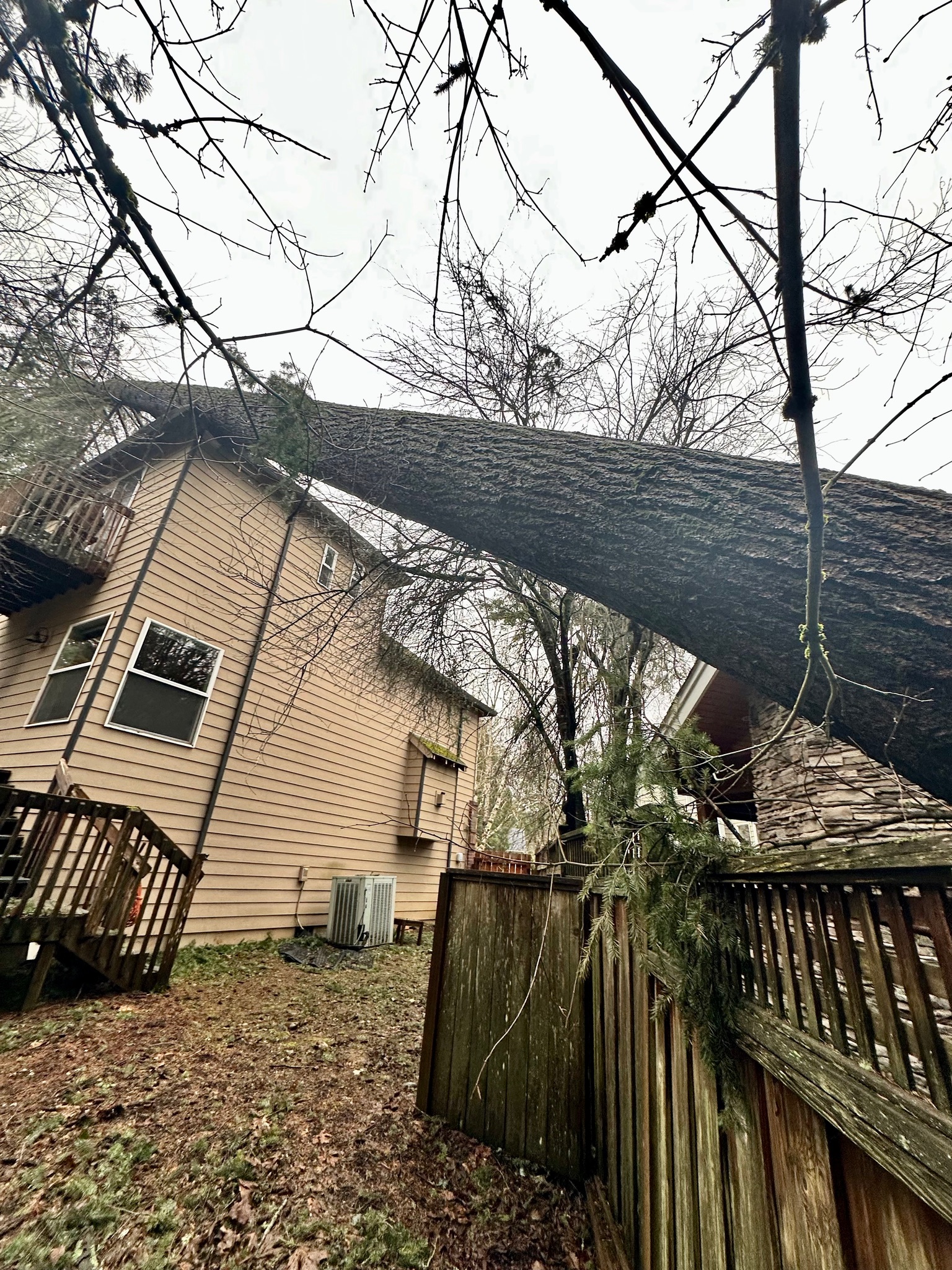 Samsara Tree Care - Certified Arborists - Free Quotes