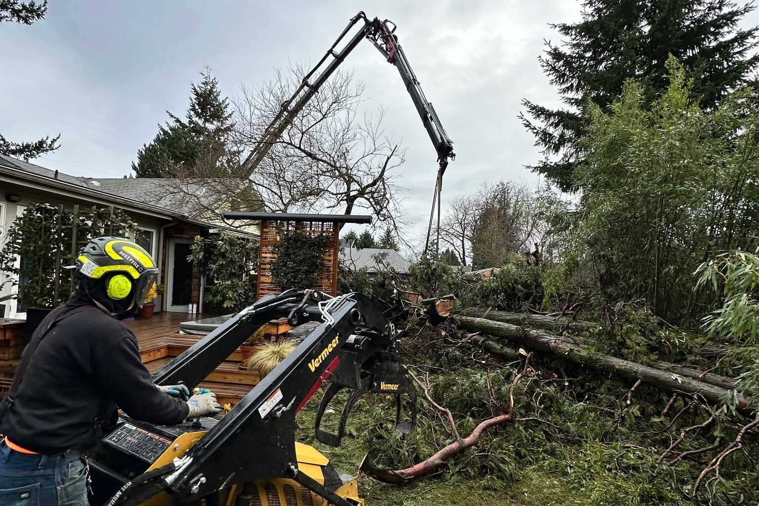 Samsara Tree Care - Certified Arborists - Free Quotes