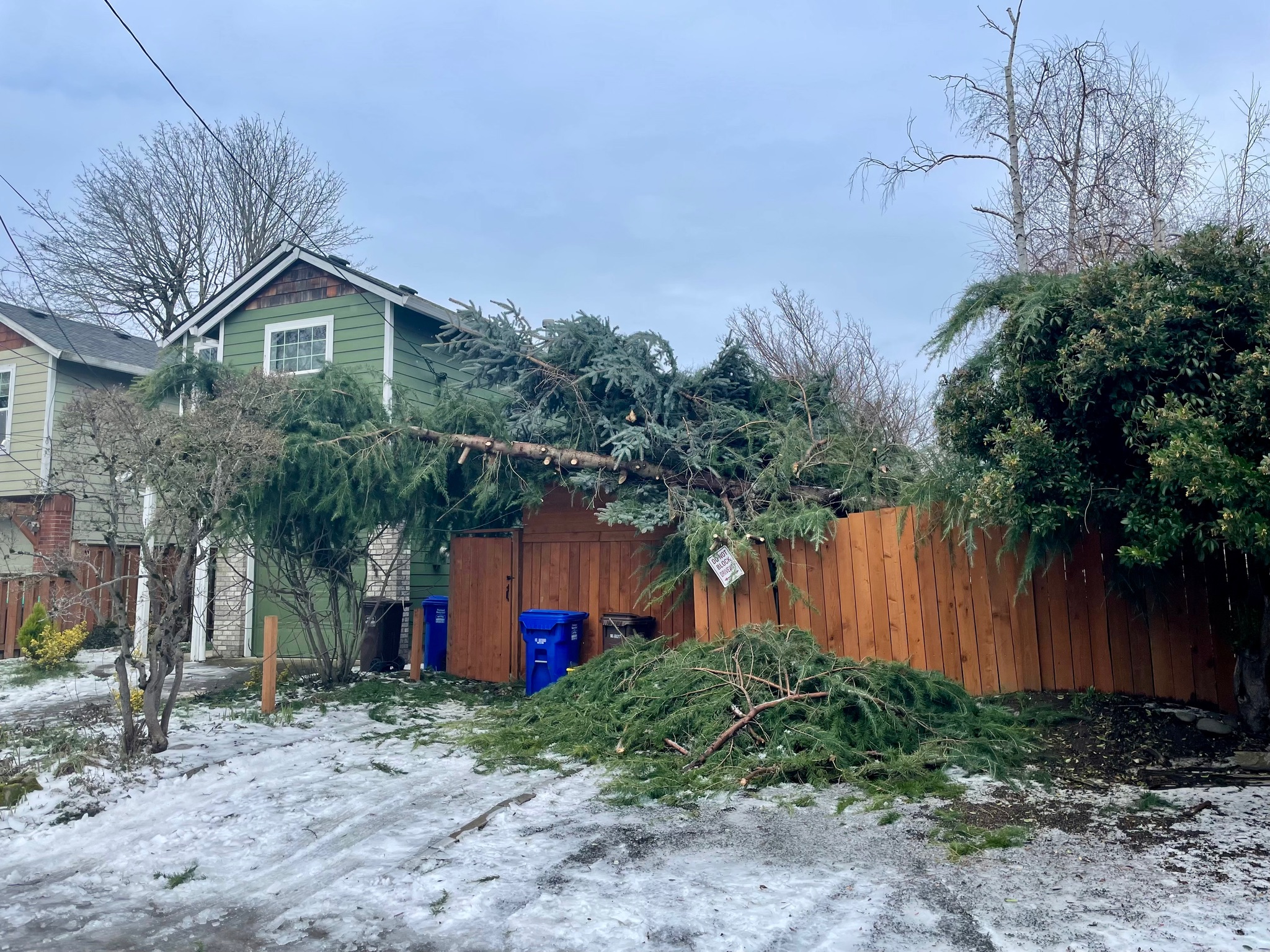 Samsara Tree Care - Certified Arborists - Free Quotes